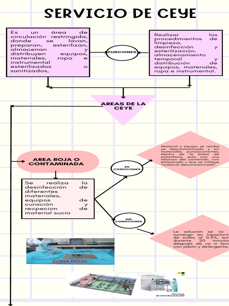 Flujograma Del Servicio Ceye | PDF