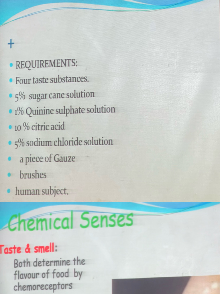 Sense of Taste and Smell | PDF