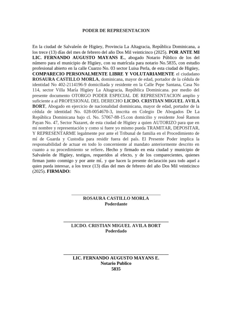 Poder de Representacion Rosaura | PDF