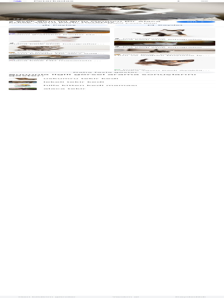 Alaca Yavru Kedi - Google'Da Ara | PDF