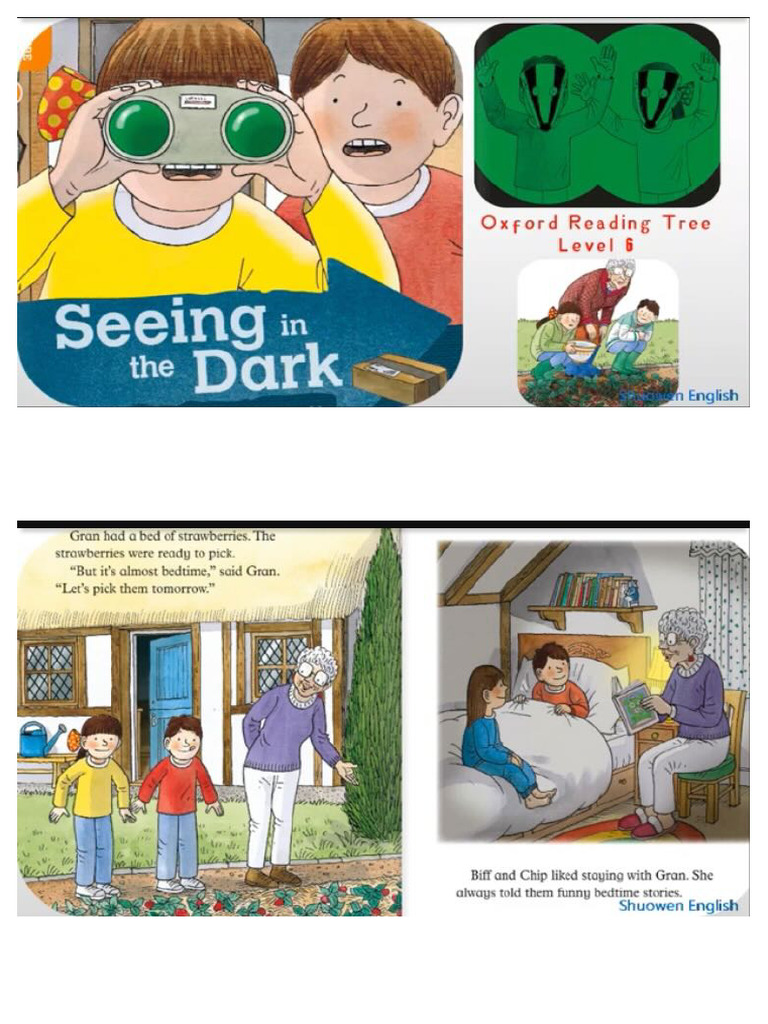 Seeing in The Dark | PDF