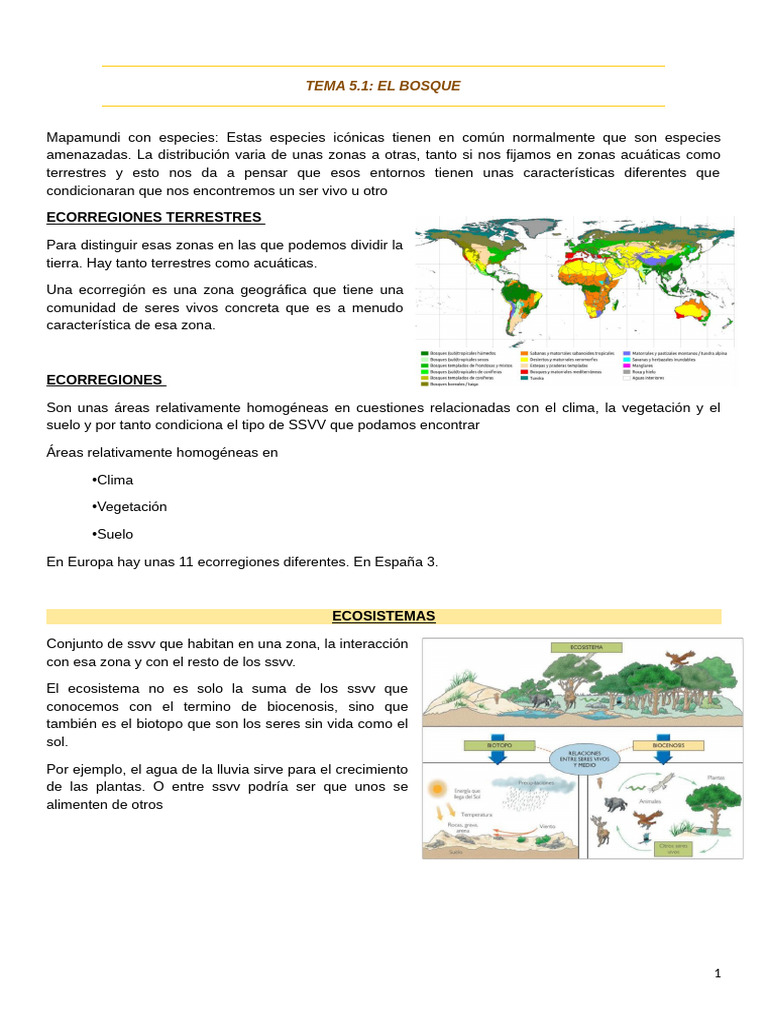 TEMA 5 CONO NC | PDF | Ecosistema | Los bosques