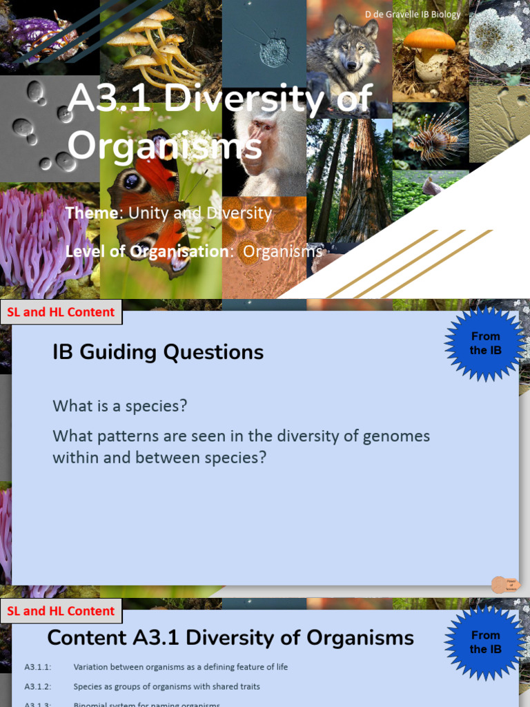 A3.1 Diversity of Organisms | PDF | Karyotype | Species