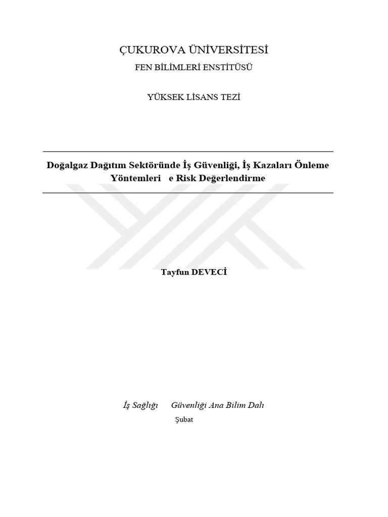 Dogalgaz Risk Analiz Yl Tez 2024 | PDF