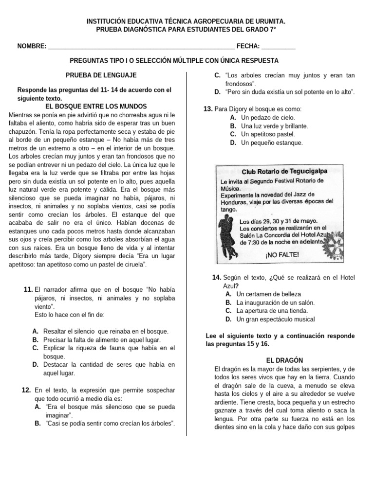 Prueba Diagnóstica de Lenguaje 7° Grado | PDF