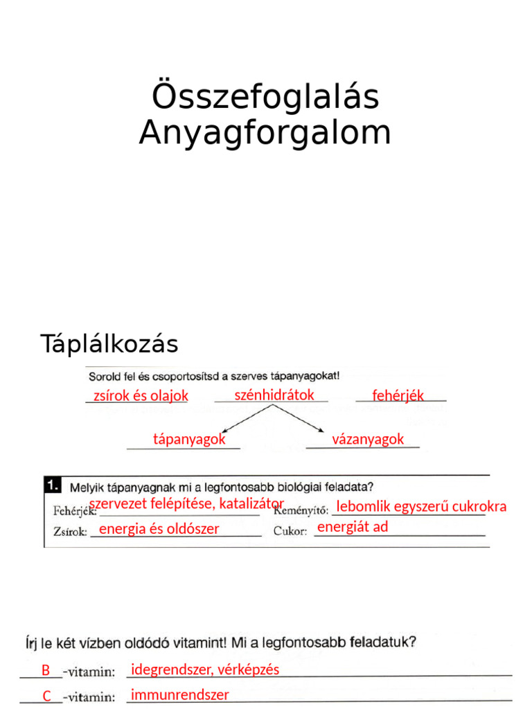 Osszefoglalas 42340 | PDF