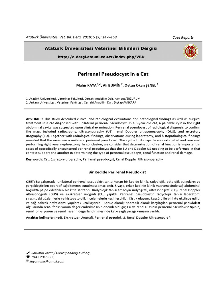 Parirenal+Pseudocyst+in+a+Cat | PDF | Kidney | Medical Ultrasound