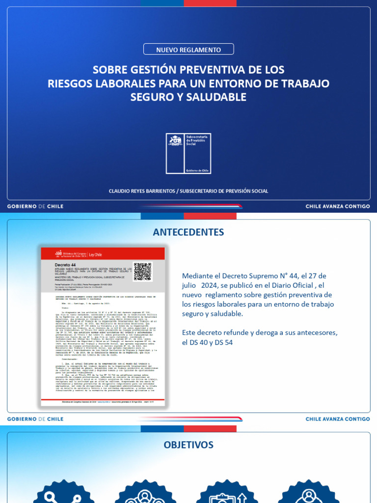 Seguridad de Seguridad Social DS44 | PDF