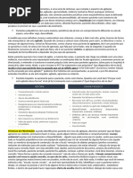 Escala Da Dor - FLACC-Revised 2 | PDF