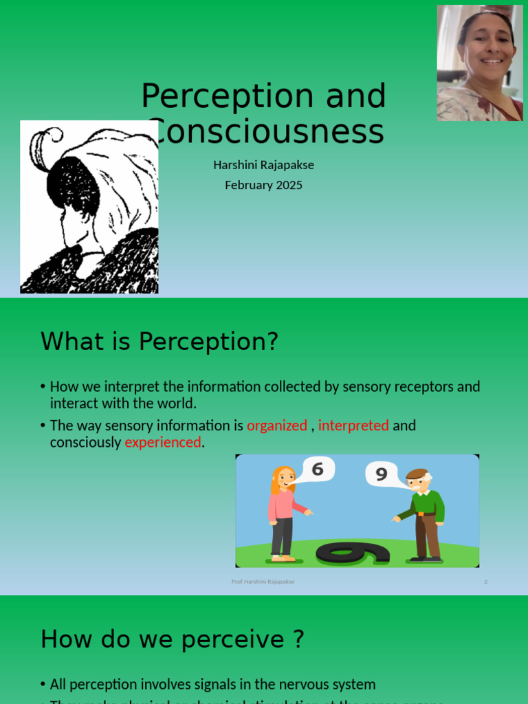 Understanding Perception and Consciousness | PDF | Sleep | Perception