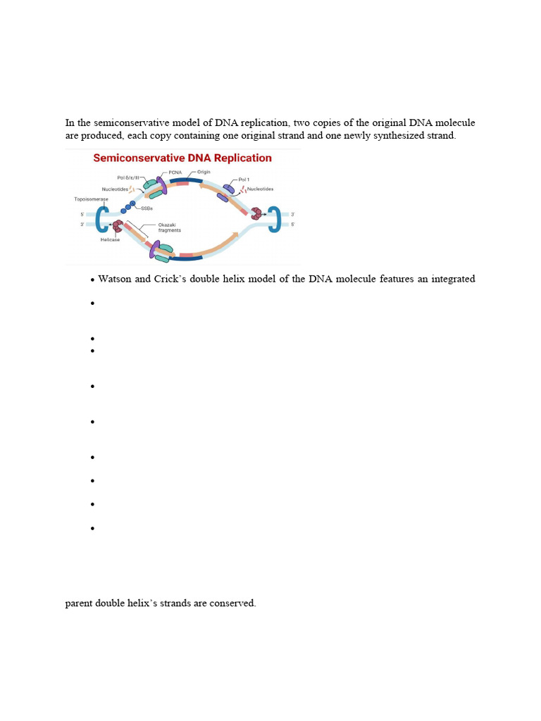 DNA Replication | PDF | Dna Replication | Dna