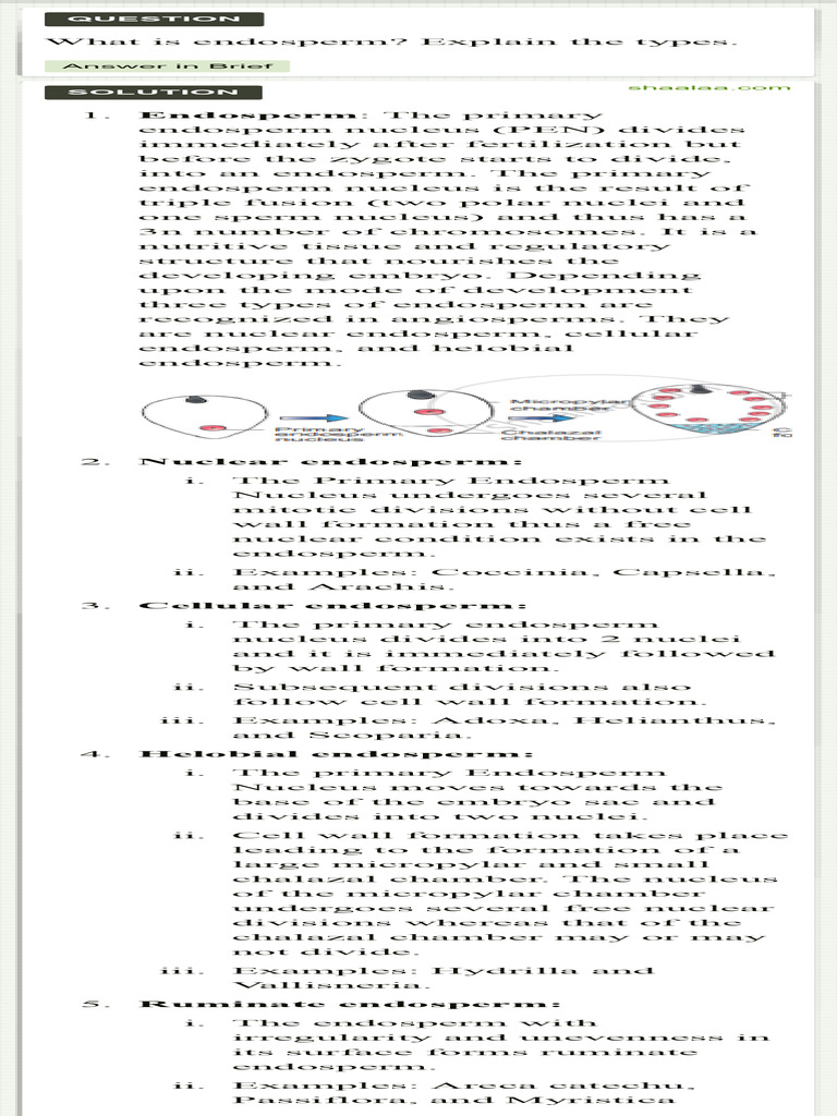 Types of Endosperm Explained | PDF