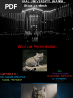 Wild Cat Family List by Lineage - Family | PDF | Felidae | Panthera