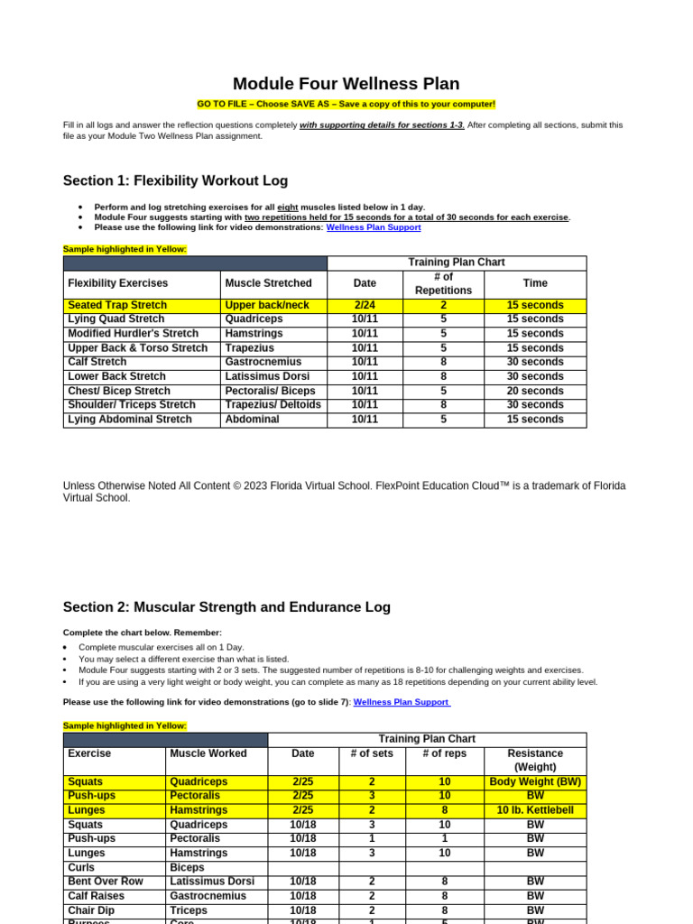 Module Four Wellness Plan | PDF | Physical Exercise | Musculoskeletal System