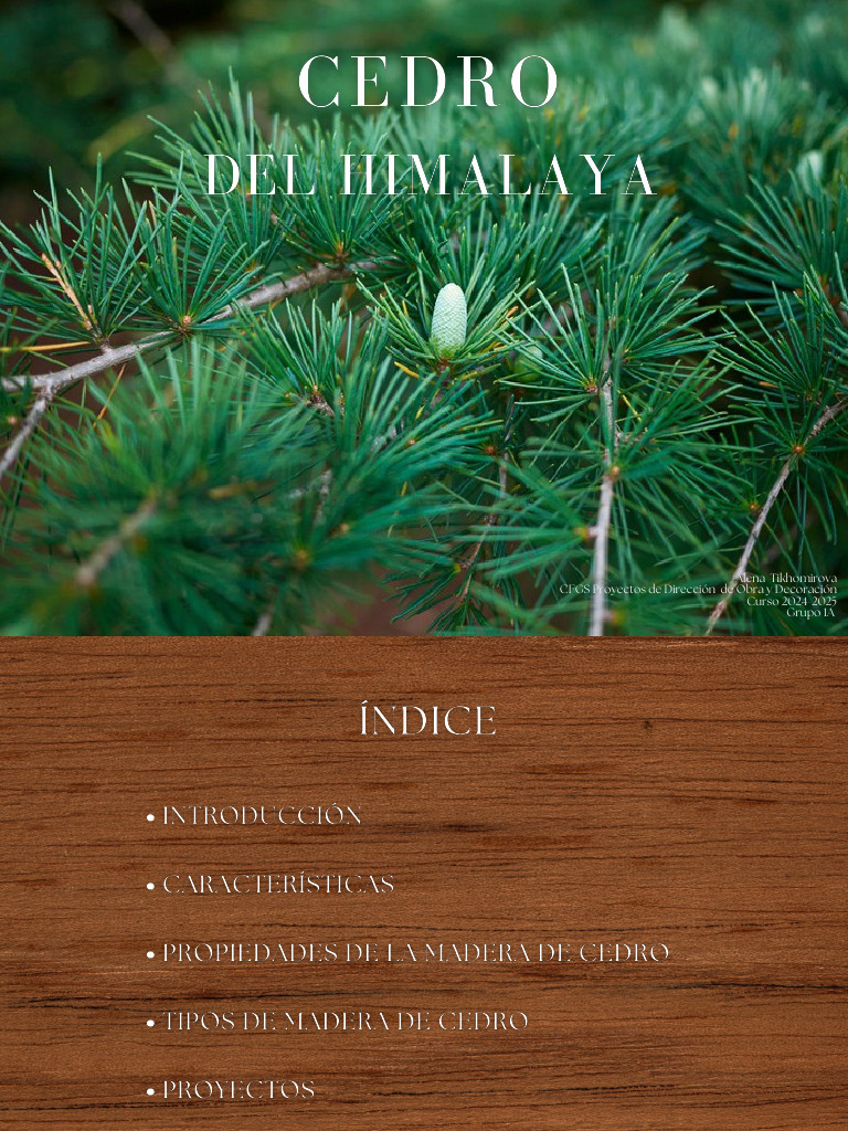 Cedro | PDF