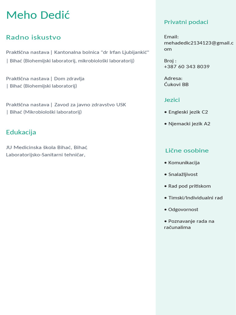 Meho Dedić: Radno Iskustvo | PDF