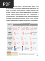 Escala de Latch - Concepción | PDF | Especialidades Medicas