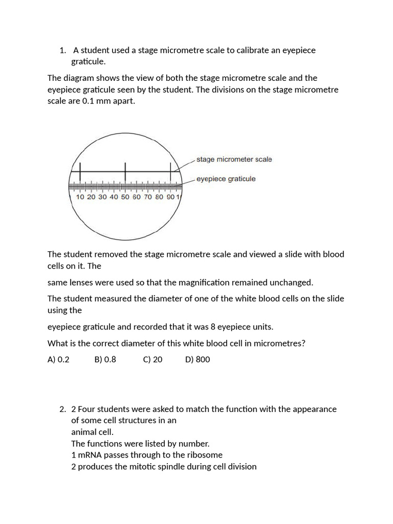 Bio Worksheet | PDF