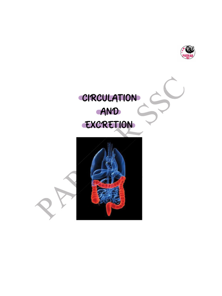 Circulatory & Excretory System PDF | PDF