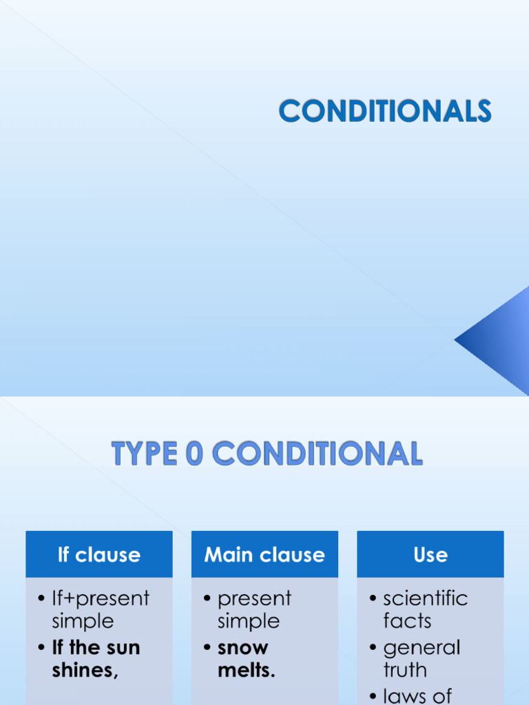 Conditionals Grammar Guides - Nice | PDF
