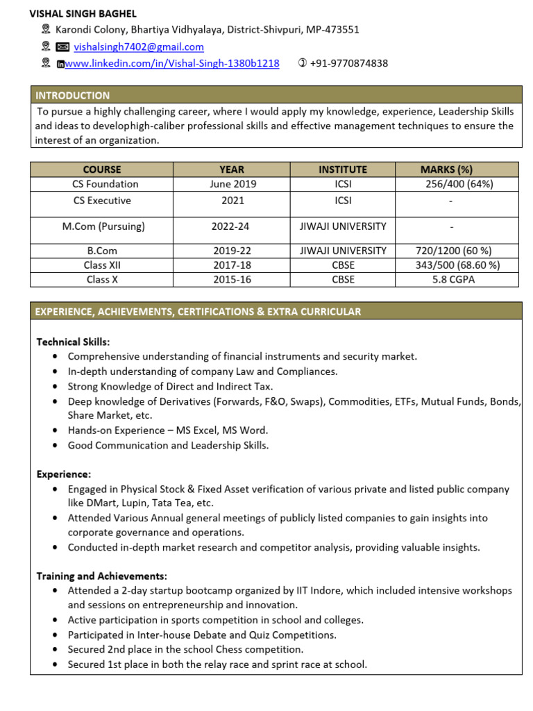 Vishal Singh Baghel's Professional Profile | PDF