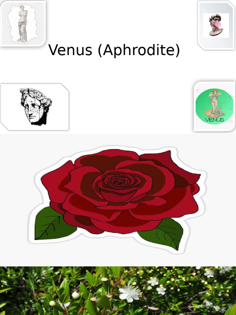 Venus (Aphrodite) | PDF