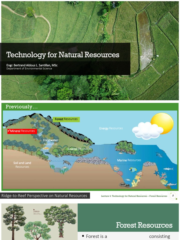 TECH 8 Lecture 5 - Forest Resources and Technology | PDF | Forests | Trees