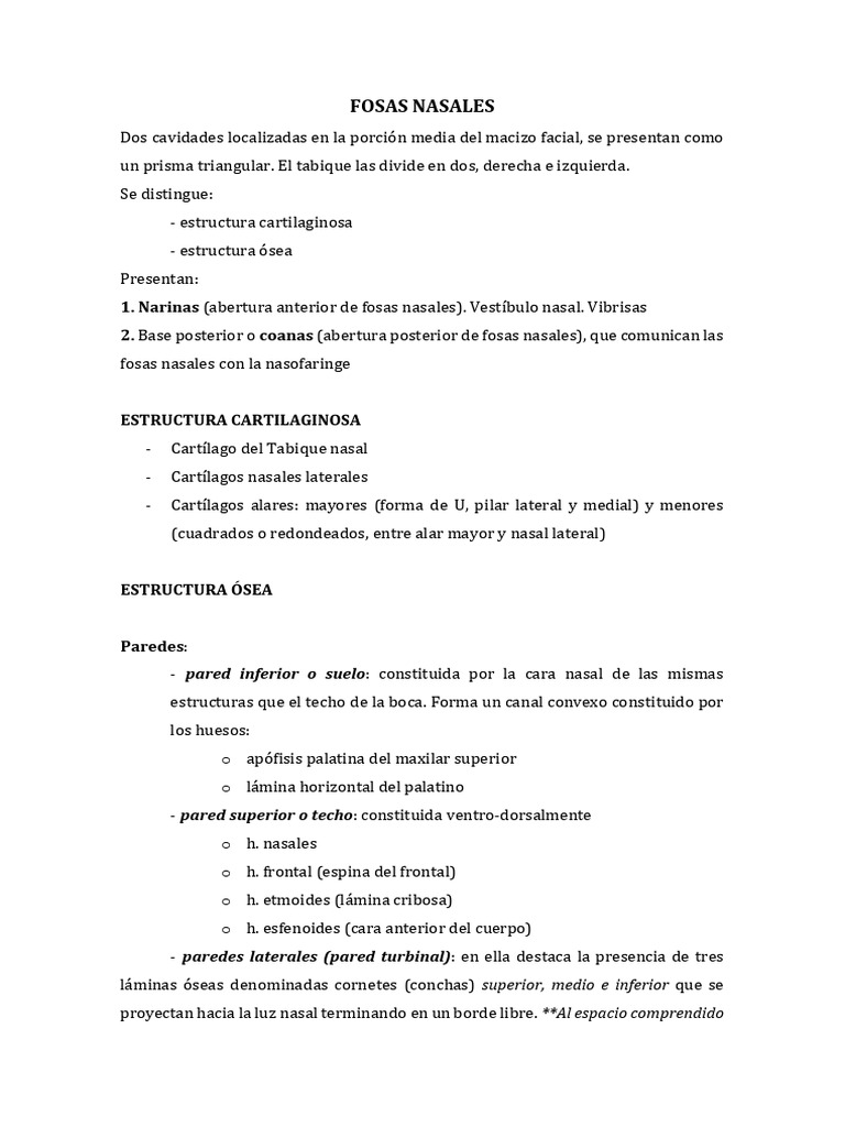 PrÃ¡ctica 2. Fosas Nasales y Senos Paranasales | PDF | Rinología | Sistema esquelético