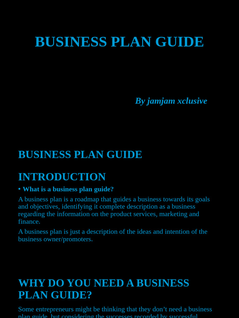 Business Plan Guide | PDF
