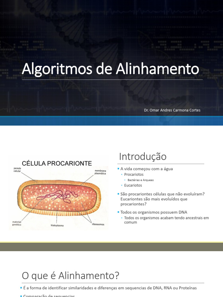 04 - Algoritmos de Alinhamento | PDF | Alinhamento sequencial | Procarionte