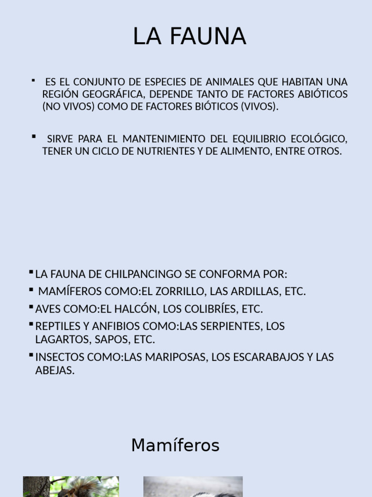 Presentacion La Fauna (Alisson) | PDF