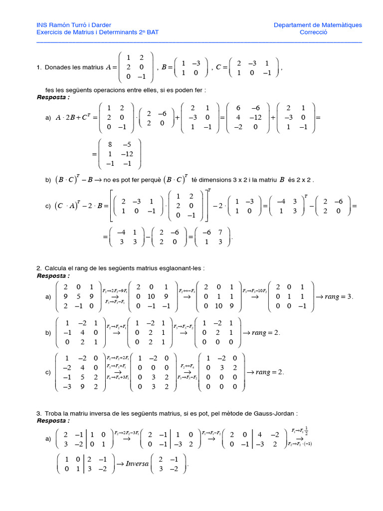 Dossier Matrius I Determinants (2 BAT Social-Correcció) | PDF