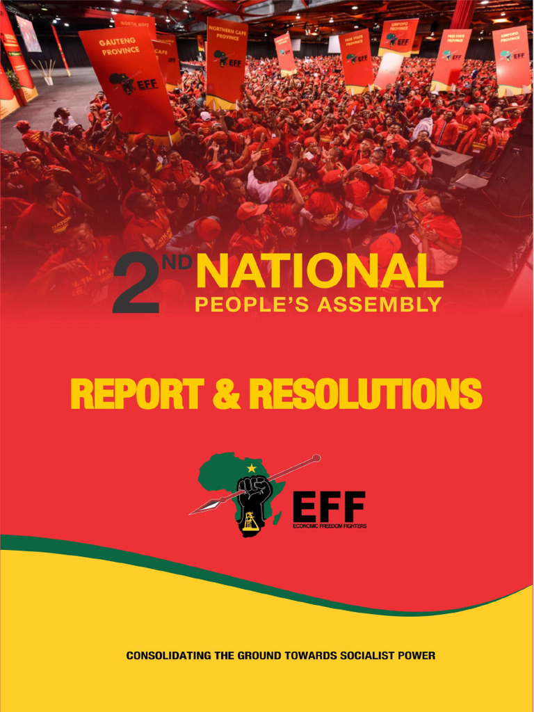 Eff 2nd Npa Final Report 1 | PDF