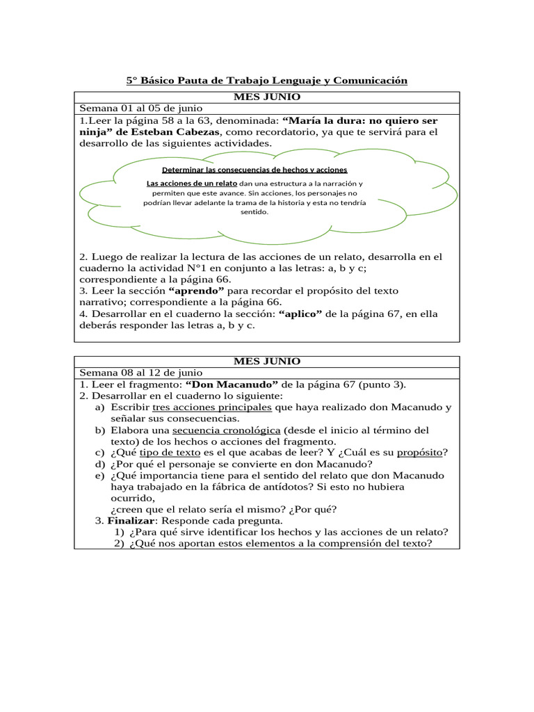 5° Básico Pauta de Trabajo Lenguaje Y Comunicación Junio | PDF | Narración
