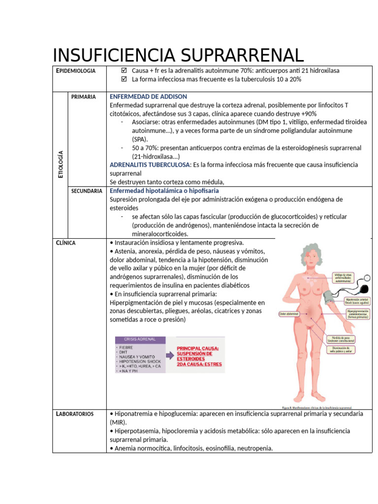 Insuficiencia Suprarrenal | PDF | Glándula suprarrenal | Glándulas