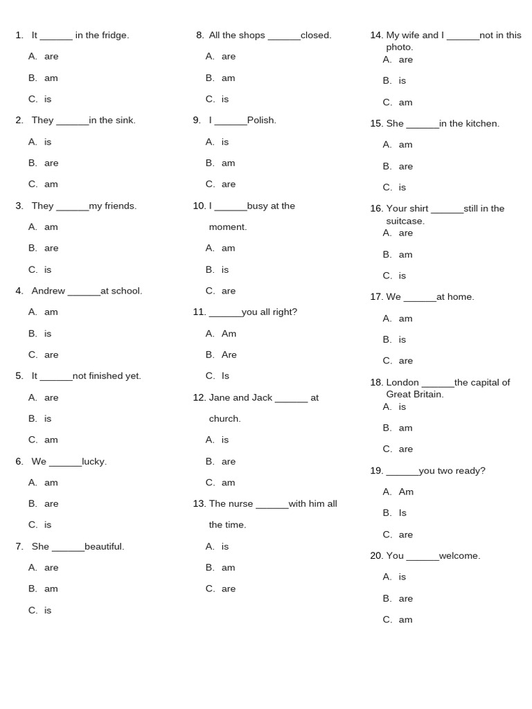 Present Simple Be | PDF