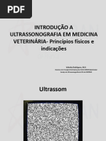 Tipos de Transdutores em Ultrassonografia | PDF