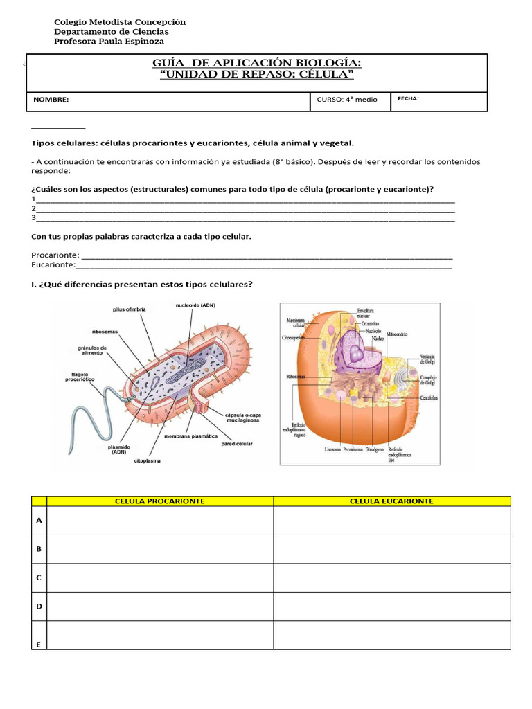 Guia Repaso La Celula. | PDF