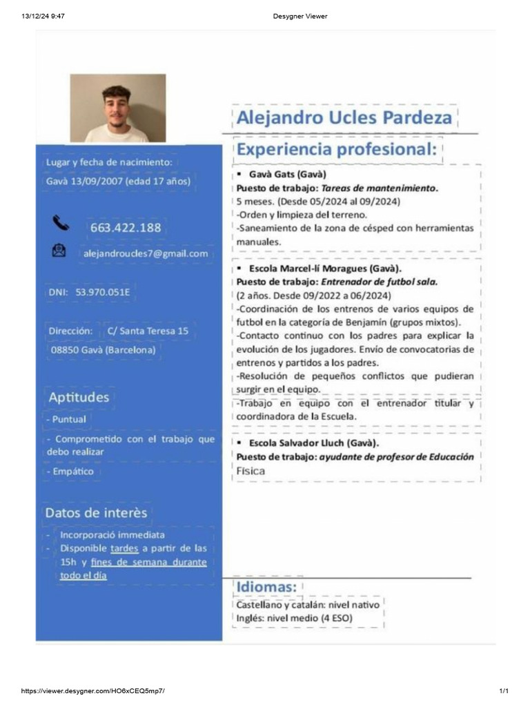 CV Alejandro | PDF