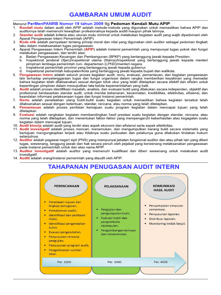 Panduan Program Kerja Audit Intern | PDF
