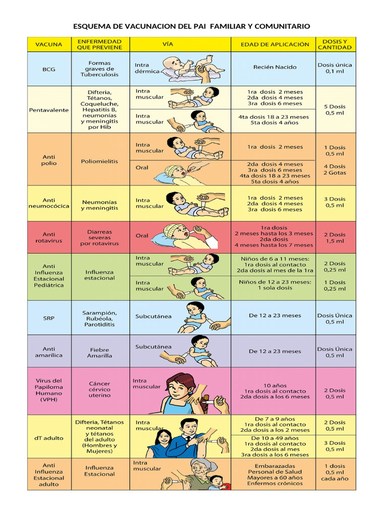 BANER DE ESQUEMA DE VACUNACION DEL PAI | PDF