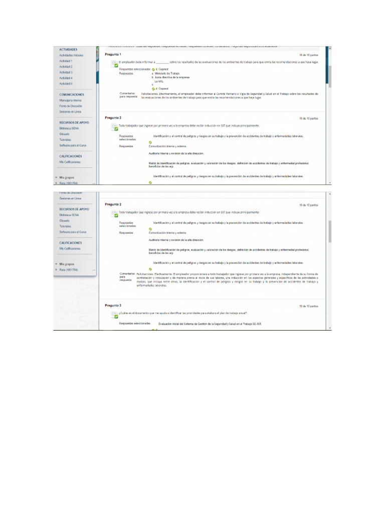 Actividad SG-SST | PDF