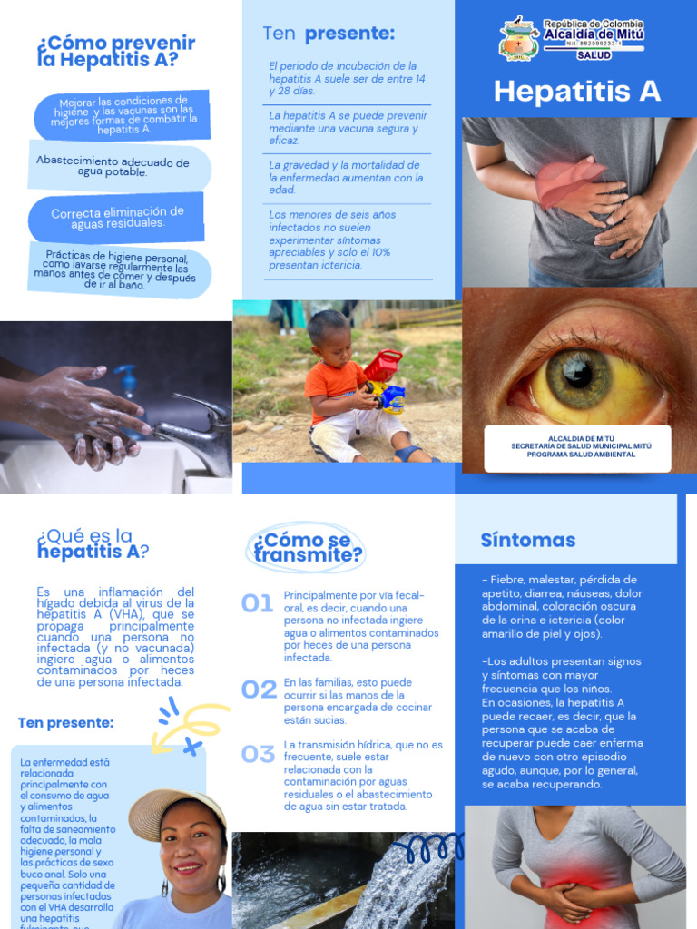 Folleto Hepatitis A | PDF | Hepatitis | Especialidades Medicas