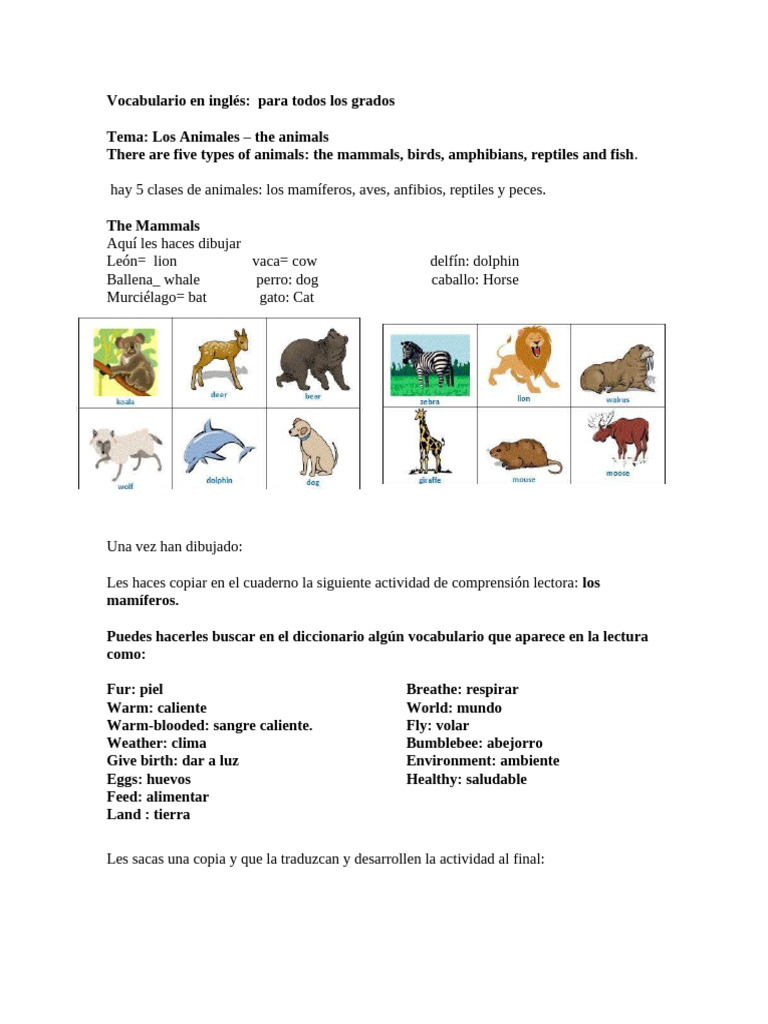 Vocabulario de Animales en Inglés | PDF | Reptil | Mamíferos