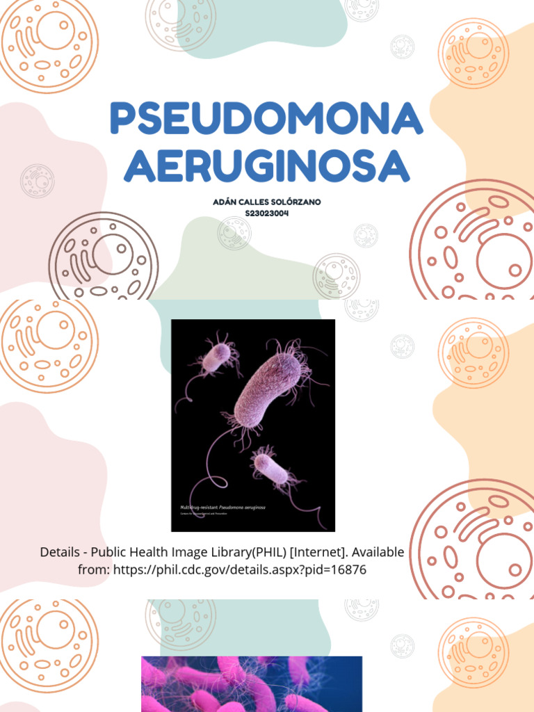Pseudomonas Aeruginosa Overview and Resources | PDF