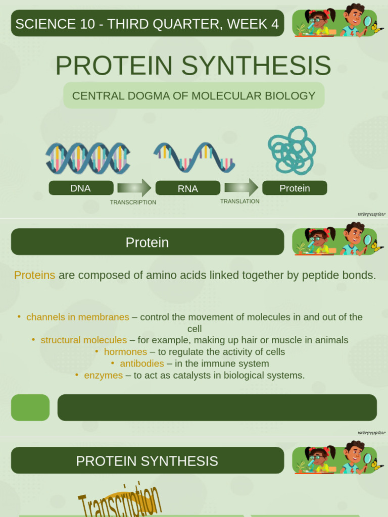 Protein Synthesis Pdf Rna Translation Biology