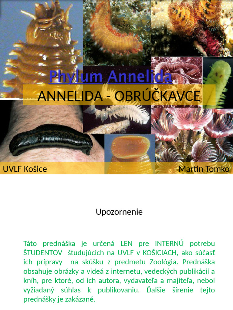 6_1___Annelida___Obruckavce___FINAL_2019 | PDF