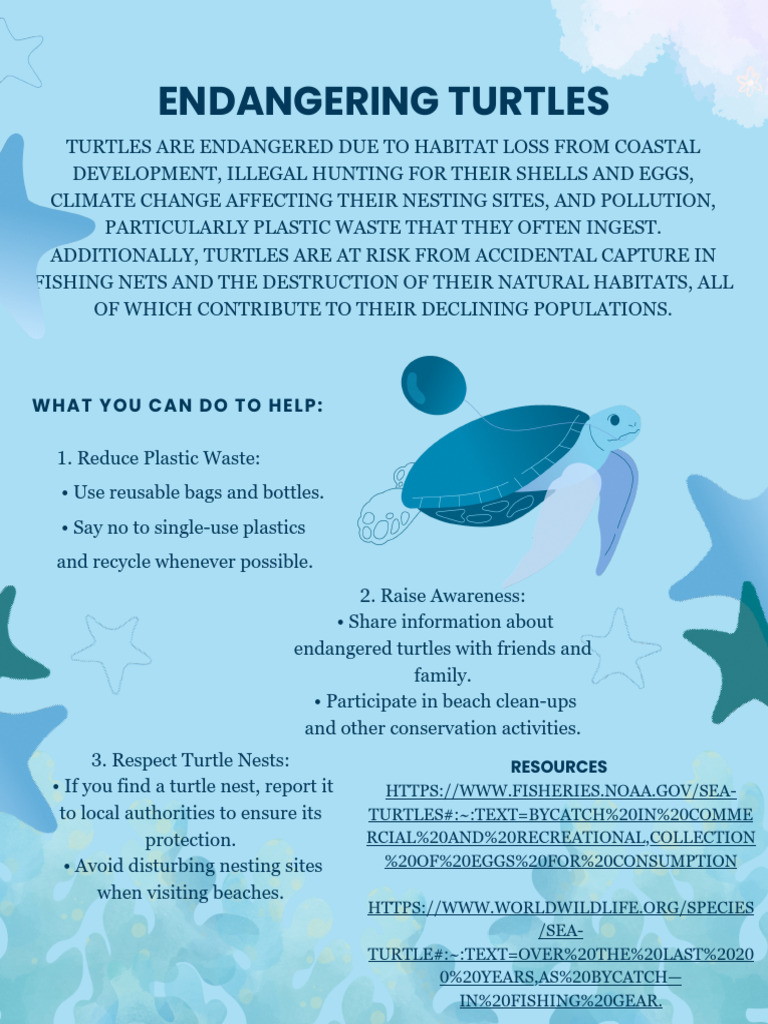 Save Our Turtles Protecting These Ancient Mariners PDF | PDF