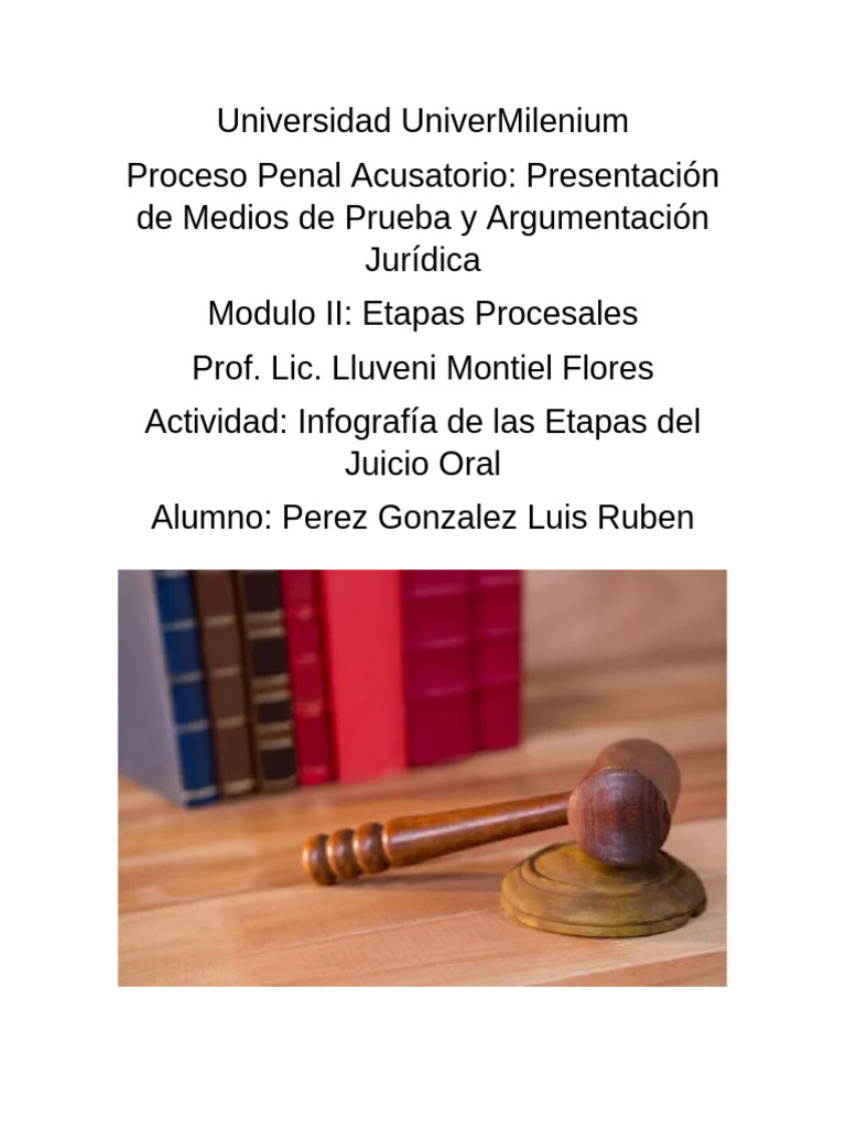 Etapas procesales | PDF | Ley común | Judicaturas