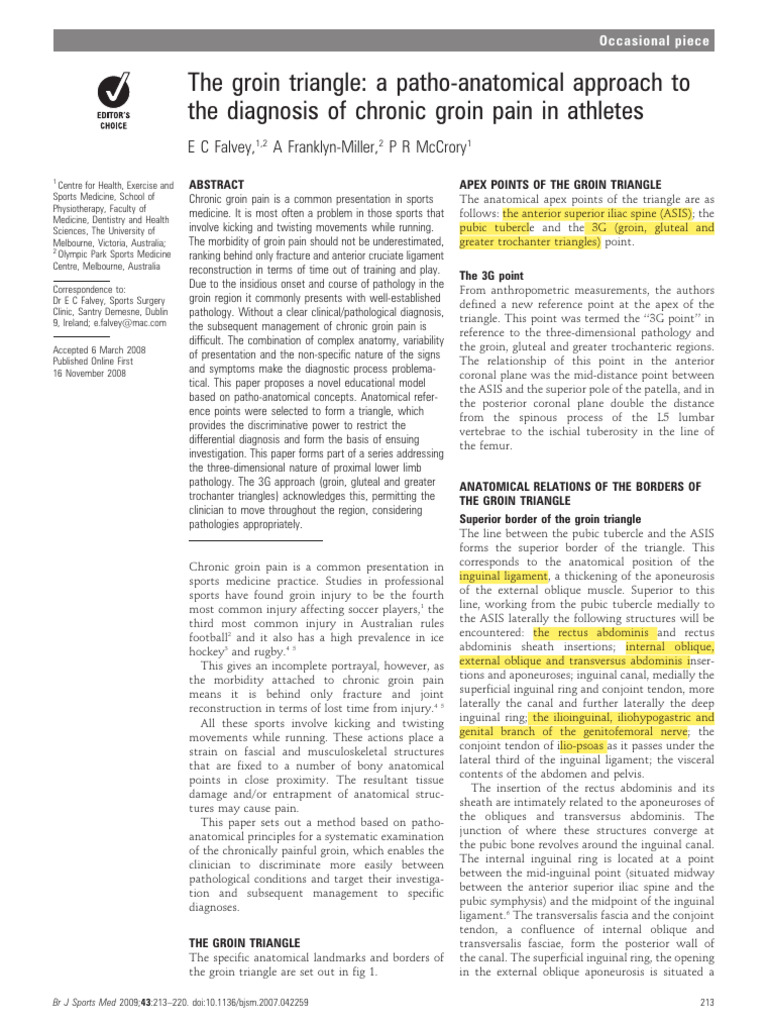 Groin Pain 종류 | PDF | Human Leg | Hip
